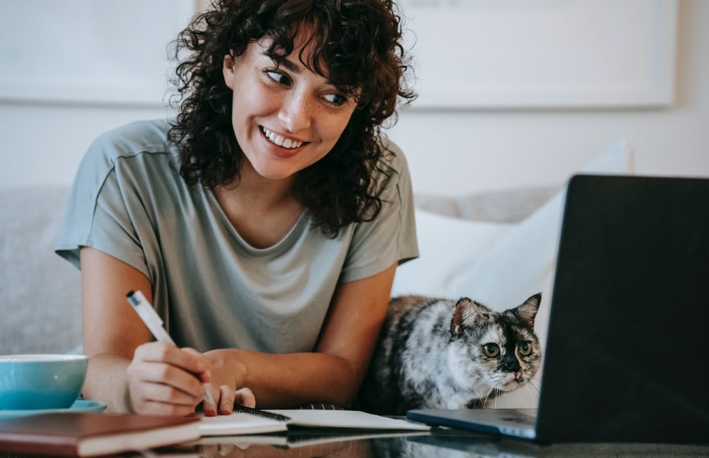 Feedz by TOTVS lança nova plataforma de cursos online voltada para ...